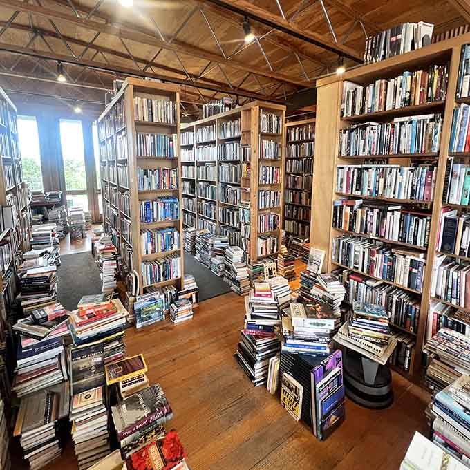 Wooden shelves stretch toward the rafters, holding more stories than your uncle at Thanksgiving dinner.
