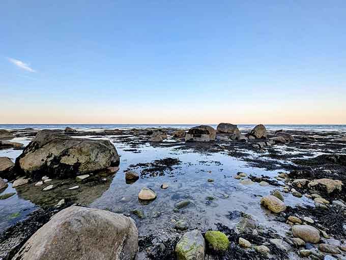 Low tide reveals a hidden world of tide pools and ancient rocks, perfect for channeling your inner marine biologist.