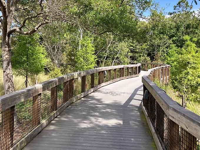 Wooden boardwalks guide you through nature's best work, no theme park admission required for this adventure.