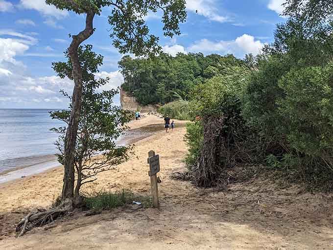 Where the river meets the shore, time collapses: today's gentle waves, yesterday's ancient seas, all in one view.
