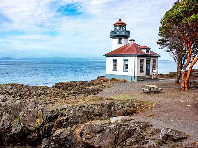 Lime Kiln Lighthouse stands guard like a patient sentinel, waiting for orcas to photobomb your vacation pictures perfectly.