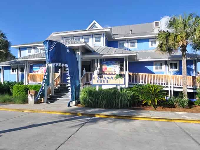 The Cabana Club stands ready with that shark entrance, because even beach clubs need a sense of humor down here.