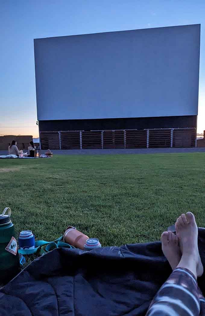 Sprawled on the grass with the screen towering above is peak summer living, no arguments accepted here.