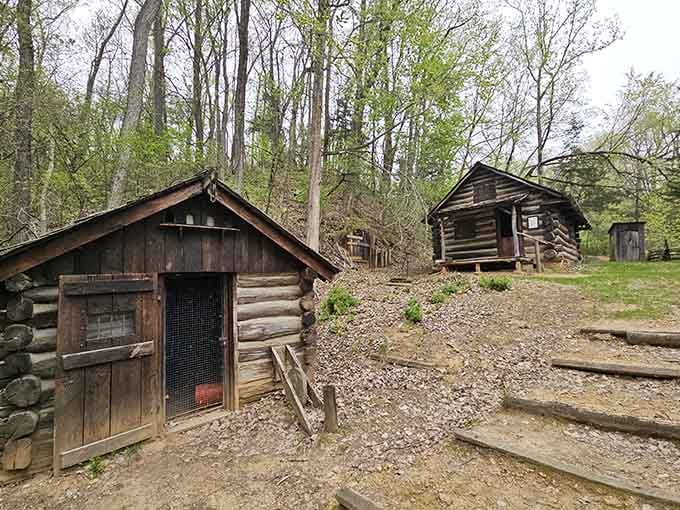 Heritage Canyon's log cabins whisper stories of frontier life, back when entertainment meant actual human interaction and hard work.