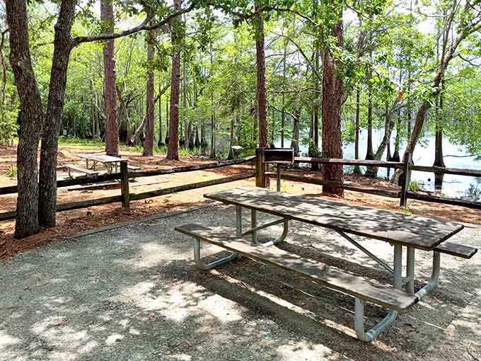 Waterfront dining without the overpriced seafood tower, just you, nature, and whatever you packed in that cooler.