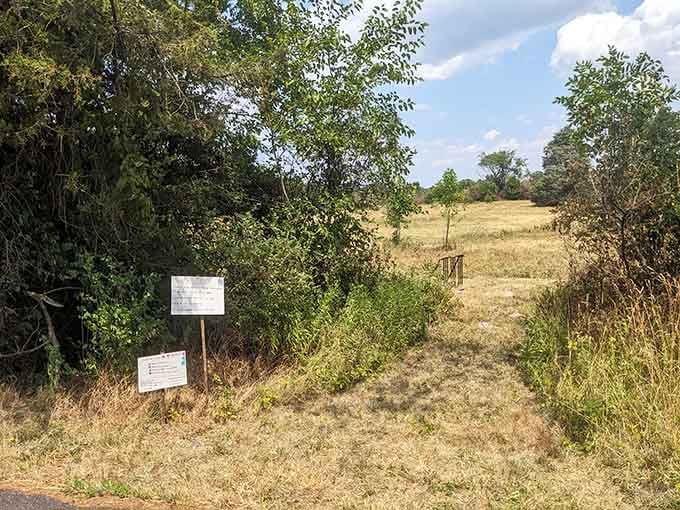 Walking these quiet battlefield paths, you'll understand why silence sometimes speaks louder than any monument.