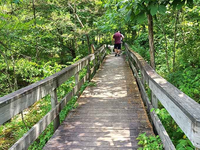 The wooden boardwalk winds through emerald forest like a scene from Stand By Me, minus the train tracks.