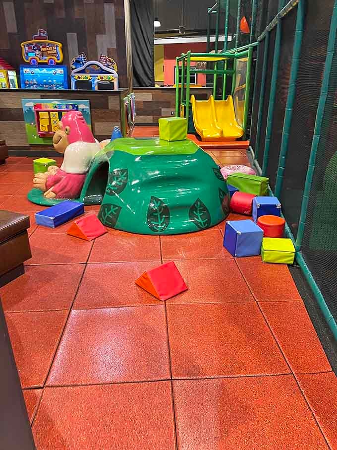 The toddler zone features a colorful slide because apparently regular slides are so last decade now.