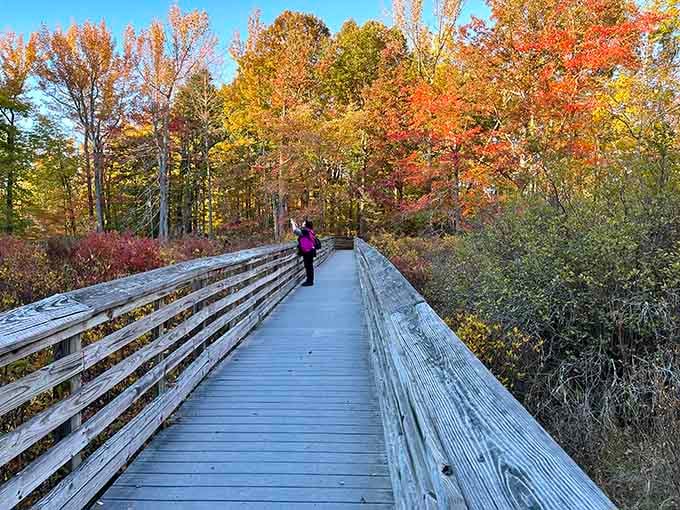 That lone photographer knows what retirees have figured out: weekday mornings offer the best light and smallest crowds here.