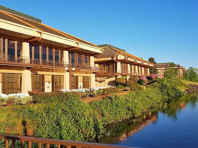 Waterfront accommodations blend seamlessly with the island's natural beauty, offering guests front-row seats to river life.
