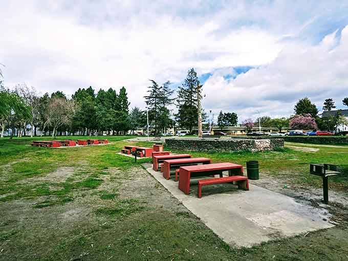 Community parks with actual picnic tables, because apparently some cities still believe in simple outdoor pleasures.