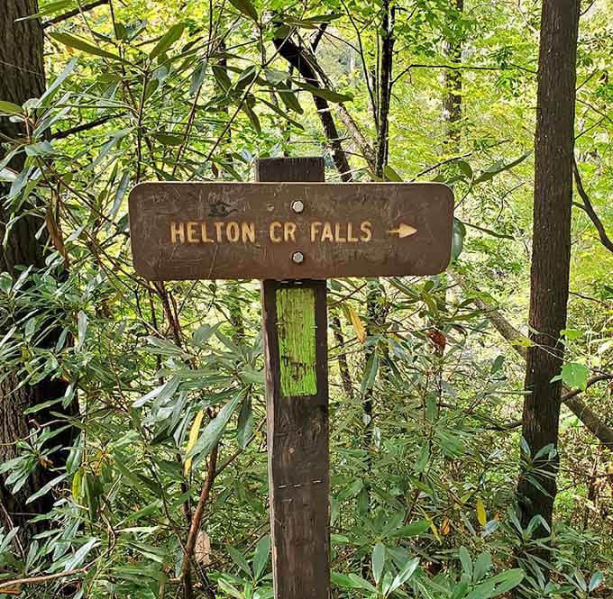 When even the trail sign looks rustic and charming, you know you're in for something special.