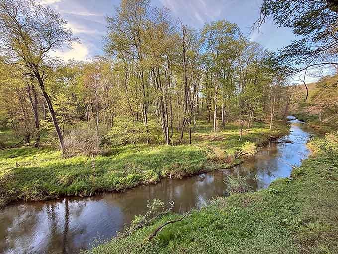 A peaceful creek winding through spring greenery, nature's own meditation app without the subscription fee.