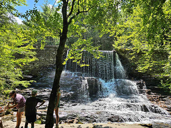 Hawk Falls tumbles over ancient rocks like liquid silver, drawing admirers who appreciate beauty without the Instagram crowds.