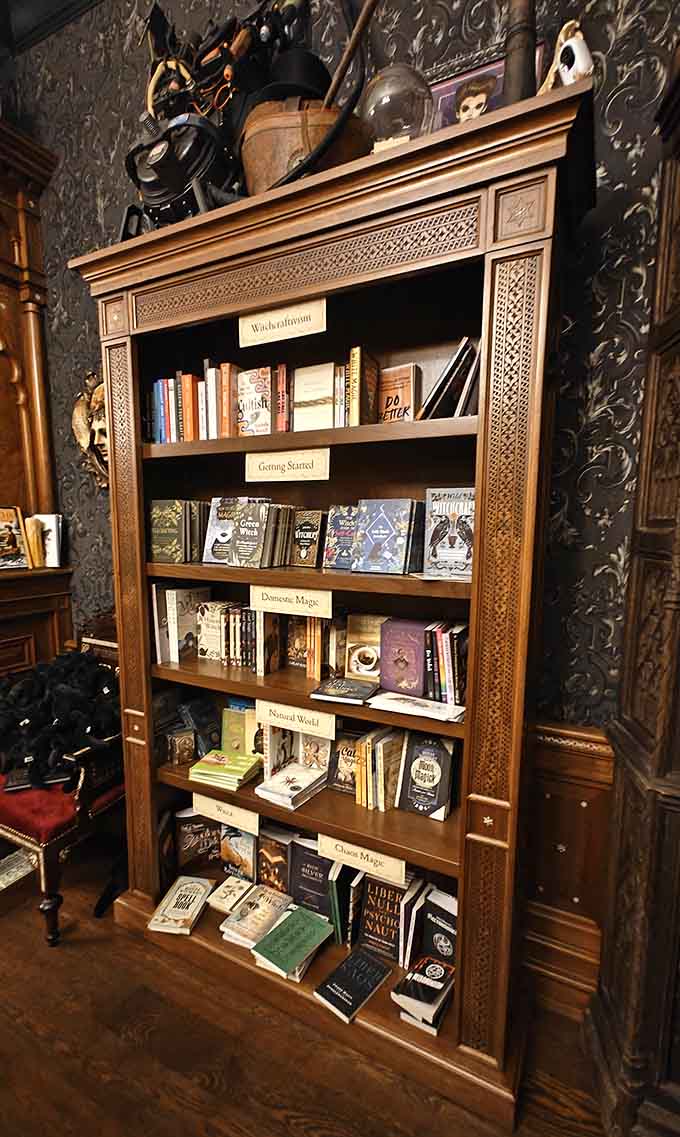 Organized shelves of mystical knowledge topped with curiosities, proving libraries can be both scholarly and delightfully spooky.
