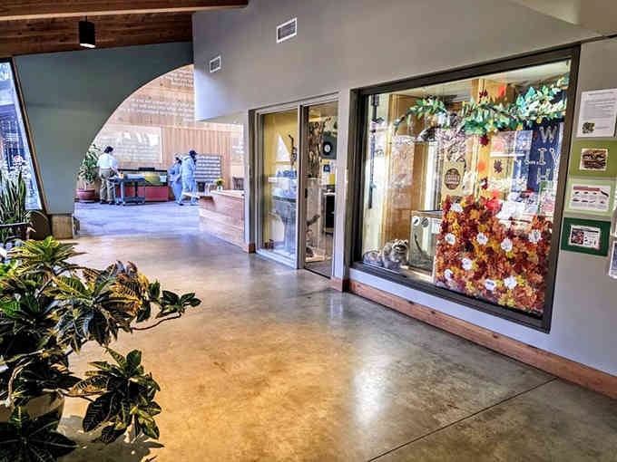 The Nature Center proves learning about ecosystems doesn't require a pop quiz or uncomfortable wooden chairs from grade school.