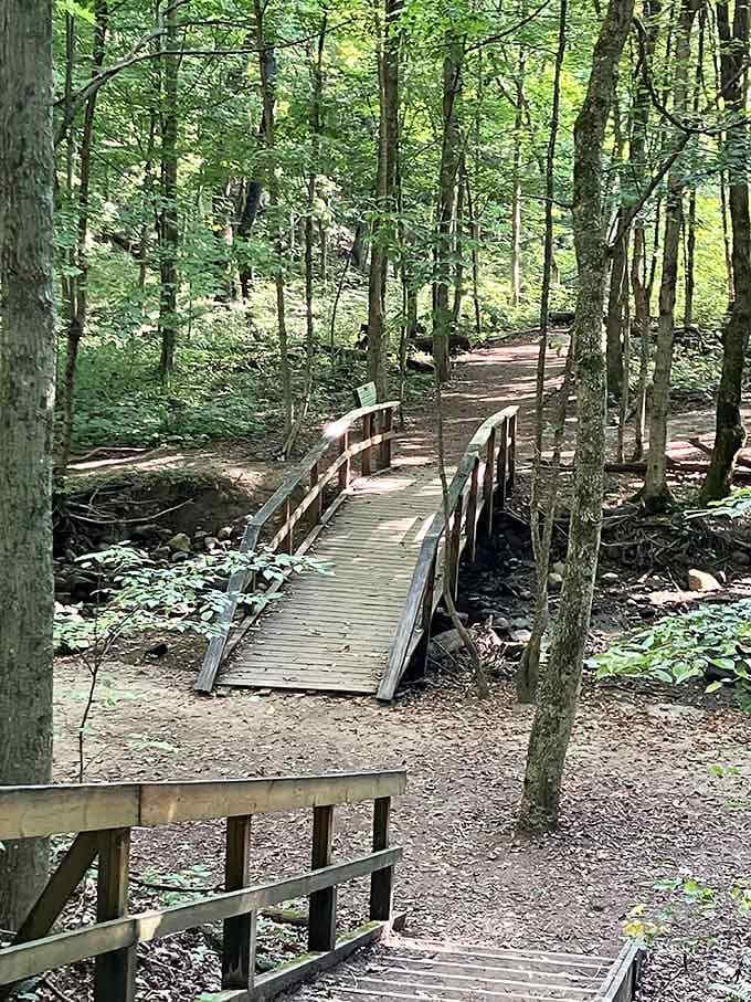 This charming wooden bridge leads you across the stream and closer to your waterfall reward, one step at a time.