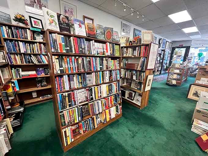 Wooden shelves overflow with colorful spines in every direction, like a rainbow made entirely of stories.