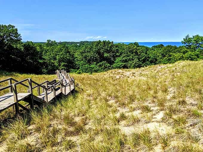Golden grasses meet endless blue horizons in a view that redefines what Midwest means.