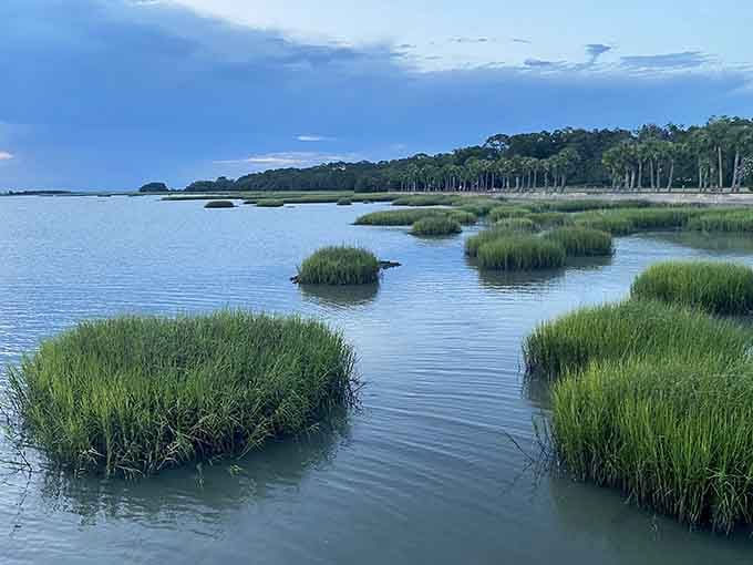 The marshlands weave through the island like nature's own watercolor painting, peaceful and impossibly green.