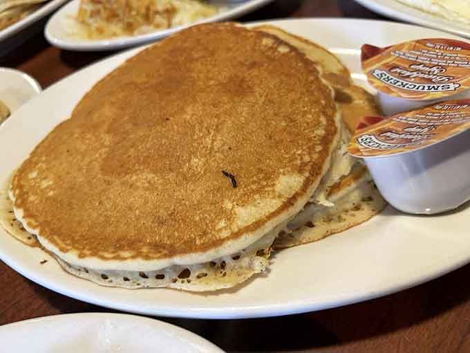 These golden beauties could make a lumberjack weep with joy, stacked high and ready for syrup.