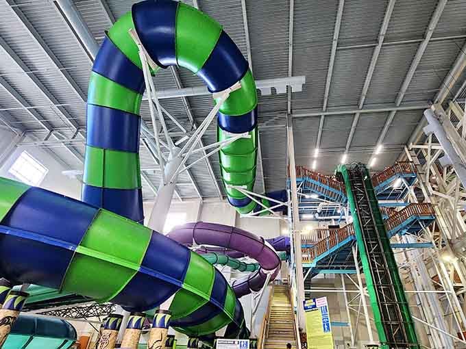 These twisting tubes of terror and delight will have you questioning your life choices in the best possible way.