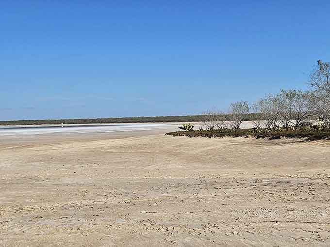 The salt flats meet scrubby vegetation in a landscape that looks more Mars than Texas, honestly.
