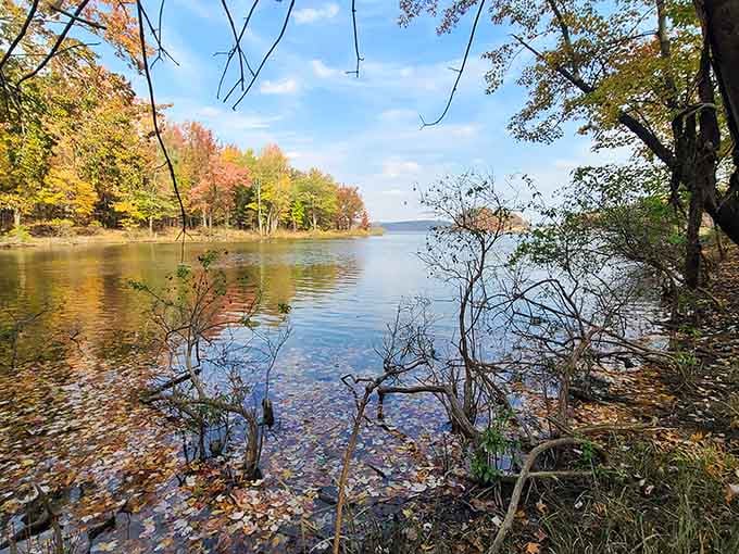 Fall colors reflecting on water create the kind of postcard moment that makes your phone's camera actually earn its keep.