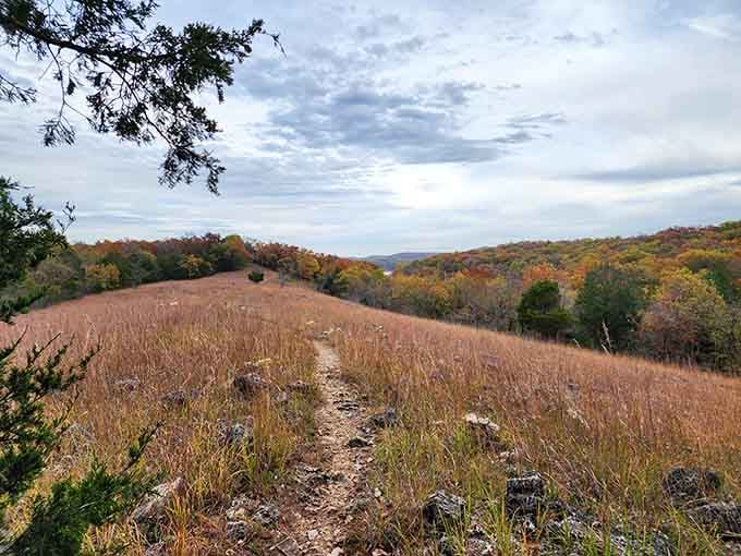 Trail views that'll have you stopping every ten feet to take photos your friends won't believe.