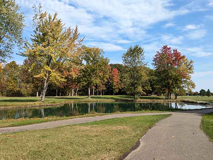 Fall colors reflecting on calm water create the kind of scenery that makes you forget about your phone for five minutes.