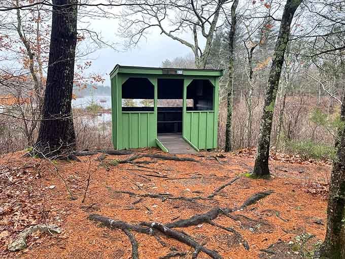 This green observation shelter offers front-row seats to nature's daily show, rain or shine guaranteed.