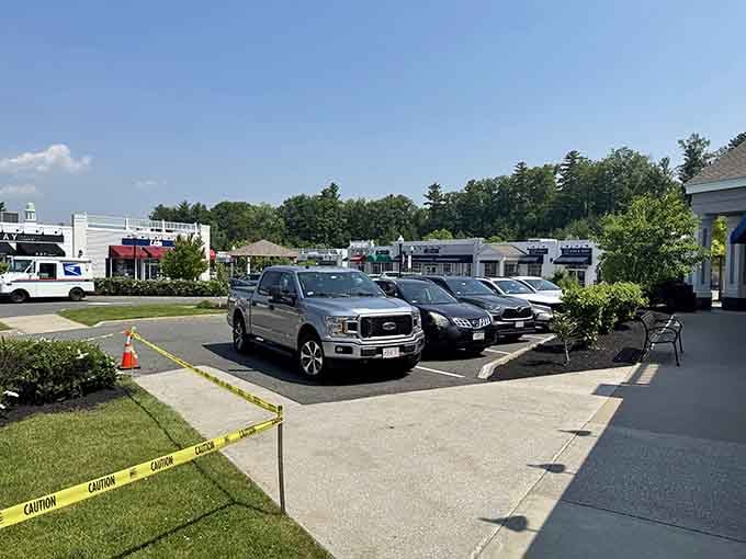Parking lots with actual grass and landscaping? Someone here understands civilization still matters.