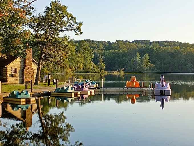 Paddle boats waiting patiently for their next adventure, like colorful ducks lined up for the world's most relaxing race.