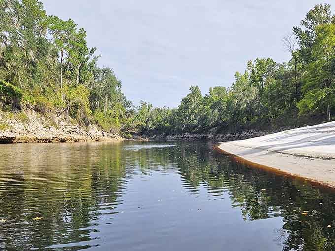 The Suwannee River flows peacefully here, offering the kind of tranquility your blood pressure has been begging for.