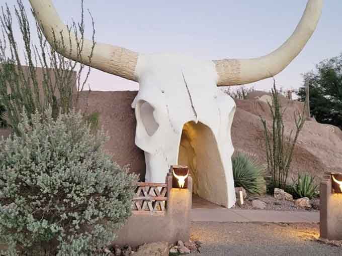 Evening light makes the skull glow golden, proving even giant bovine architecture has its glamorous moments.