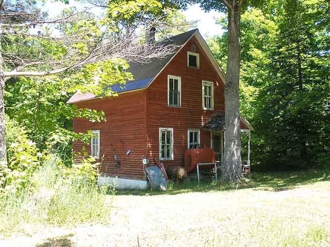 This crimson beauty still holds onto its dignity despite the encroaching wilderness, like a dowager refusing to leave the ballroom.