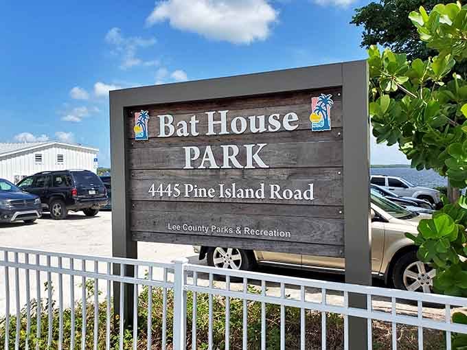Bat House Park proves that even practical infrastructure can have a sense of humor about itself in this town.