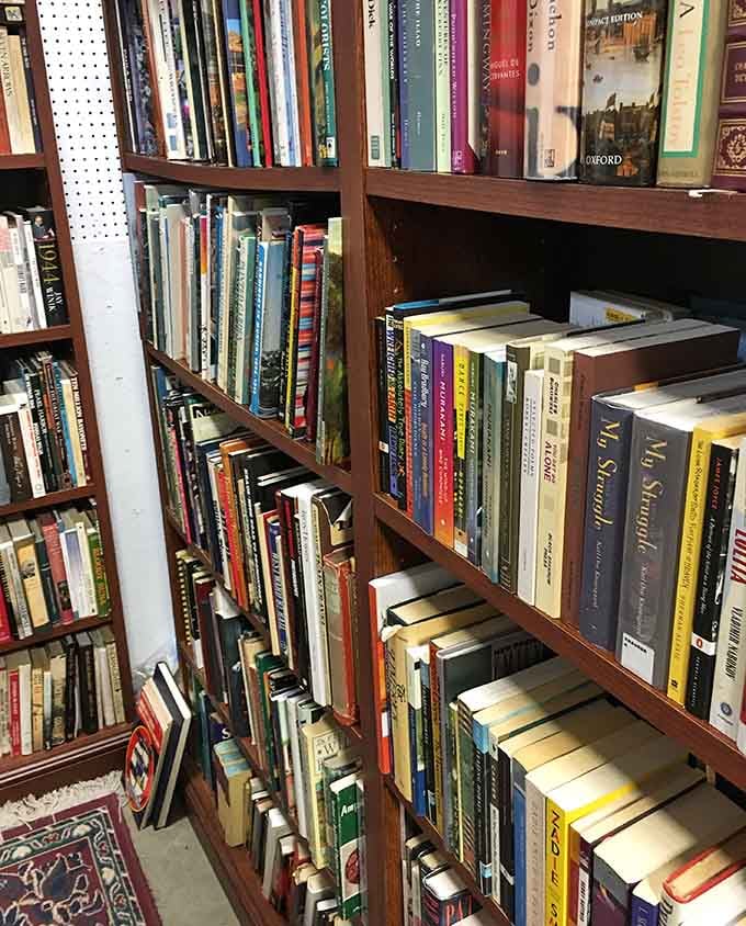 Shelves packed with literary treasures that smell like history and feel like finding old friends again.