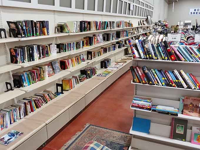 Book lovers, rejoice! These shelves hold enough reading material to keep you busy until next year's beach season.