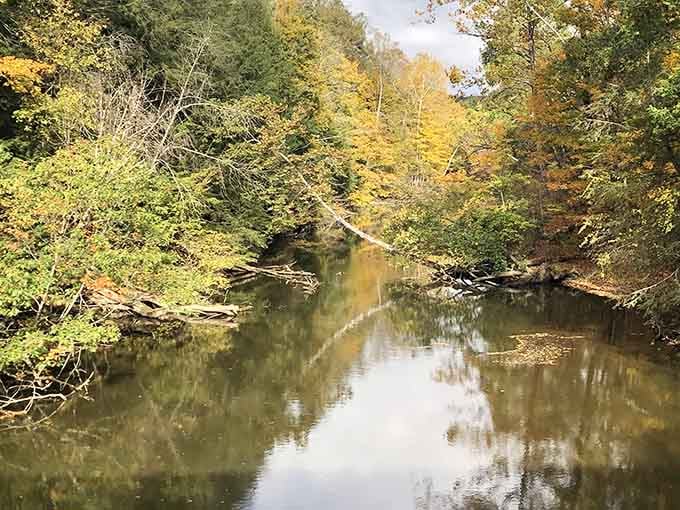 Fall colors reflecting in still water: proof that Ohio can absolutely compete with New England's autumn bragging rights.