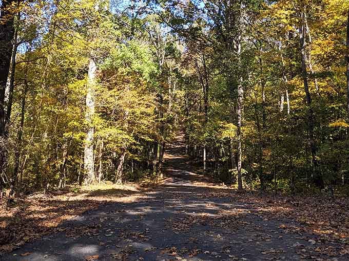 The journey to paradise doesn't require a passport, just a willingness to follow this peaceful path.