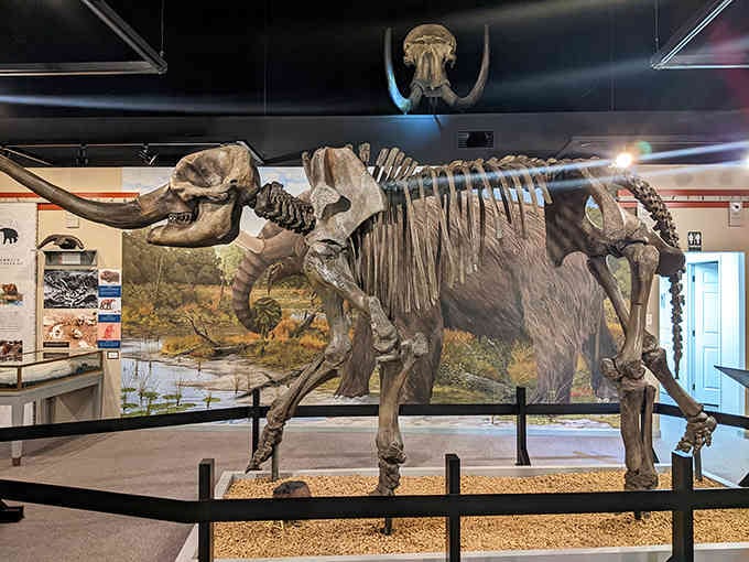 Standing face-to-face with a complete mastodon skeleton makes you realize your problems are refreshingly insignificant by comparison.