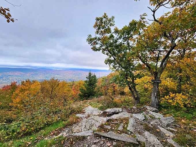 Fall foliage that makes you understand why people write terrible poetry about New England, except this view earns it.