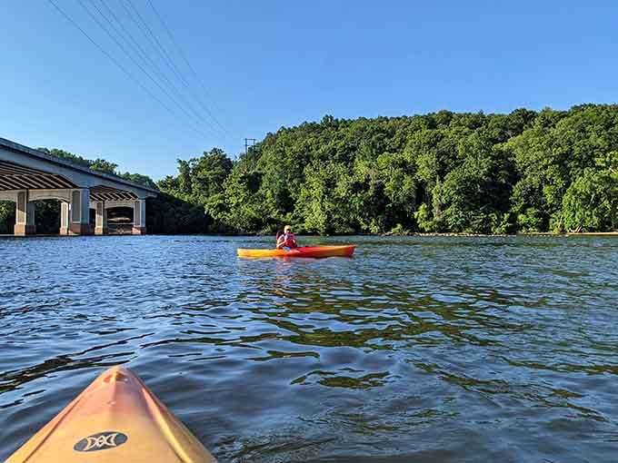 Paddling the Occoquan River, where the biggest challenge is deciding whether to turn around or keep going forever.