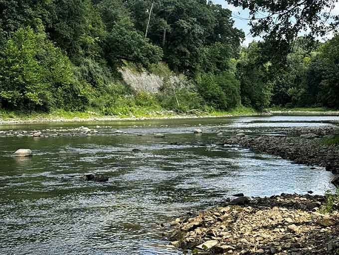 The Vermilion River flows peacefully through landscapes that prove Illinois has serious natural beauty hiding in plain sight.