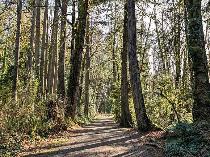 Squaxin Park's forest trails feel like stepping into a fantasy novel, minus the dragons but with better air quality.