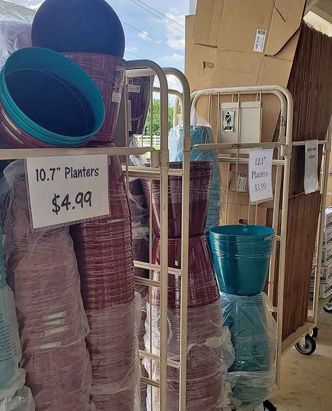 Colorful planters ready to brighten your garden without darkening your financial outlook&mdash;now that's smart shopping.