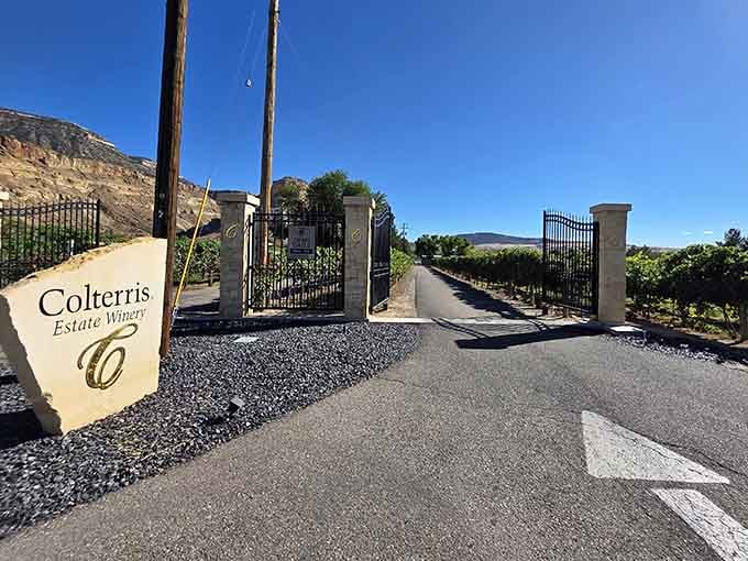 Colterris Estate Winery's gates open to vineyard views that make you understand why grapes grow so happy here.