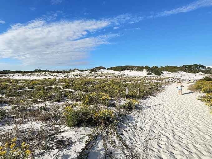 Camp Helen's untouched dunes remind you what Florida looked like before the condos showed up.