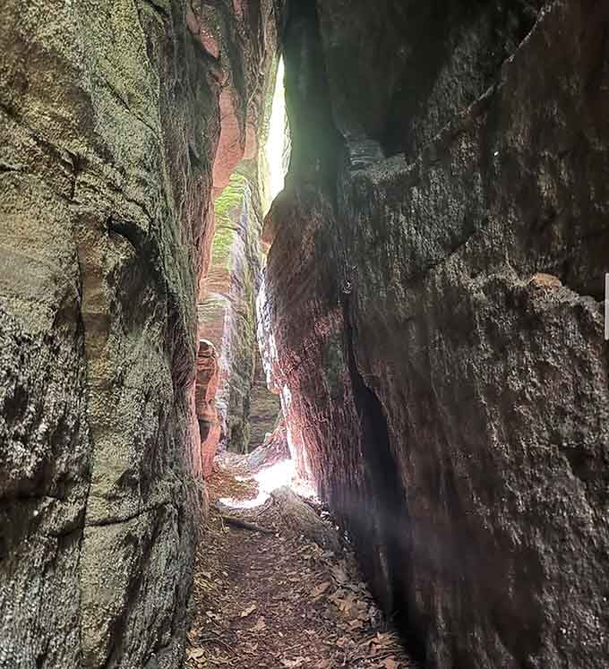 Squeeze through passages so narrow you'll finally understand what sardines feel like, but with significantly better views and fresh air.